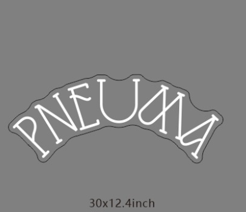 PNEUMA - WORD 30 inches – Oasis Neon Signs